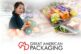 Custom Poly Bags & Film | Great American Packaging